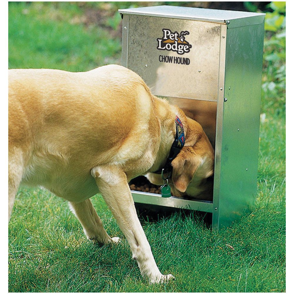 Dog Feeder Chow Hound – Pet And Farm