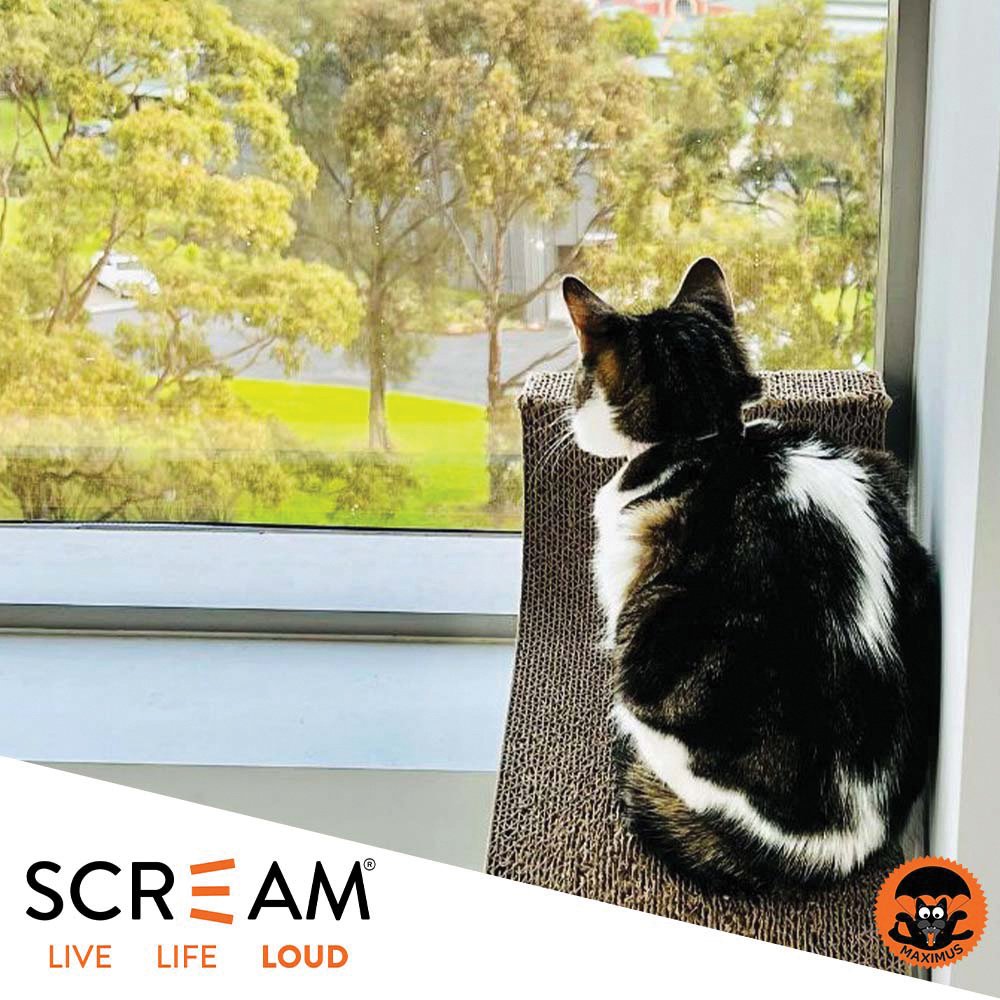 Scream S-CURVE CAT SCRATCHER Loud Green/Black 55x23.5x12cm – Pet And Farm
