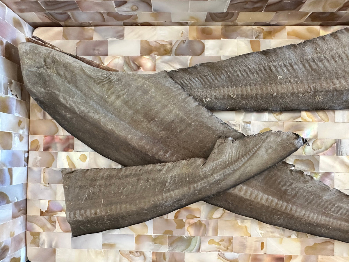 1x Just Shark Tails – Pet And Farm