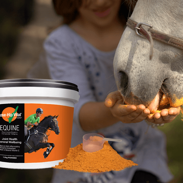Rose Hip Vital Equine Powder – Pet And Farm