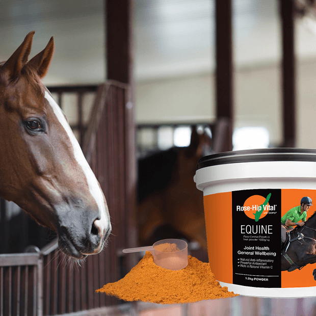 Rose Hip Vital Equine Powder – Pet And Farm